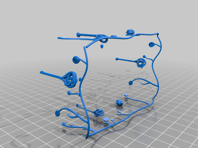 Integumentary System Clay Model