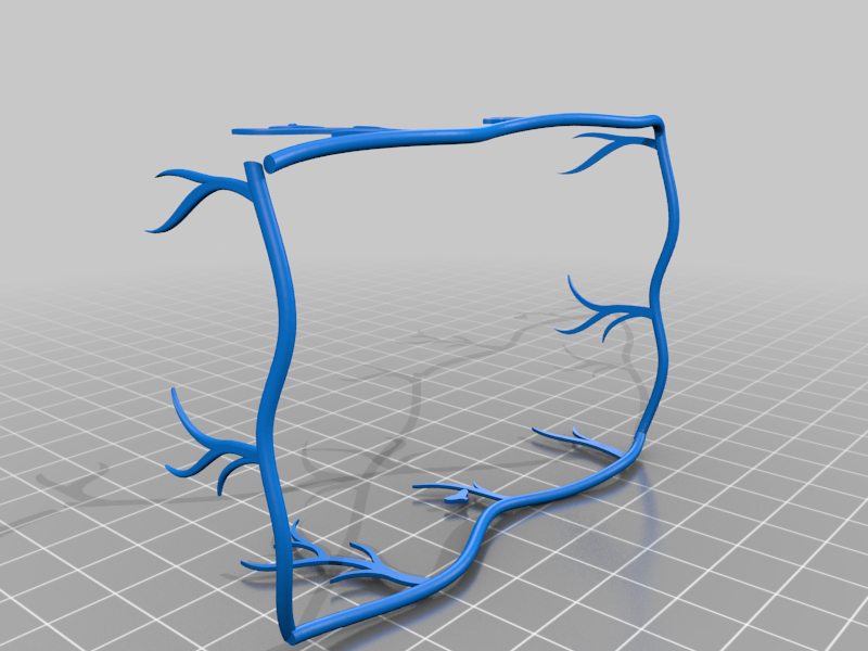 Integumentary System Clay Model