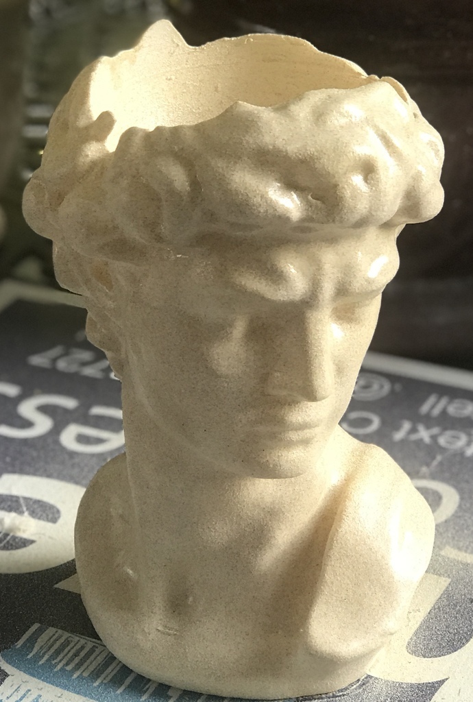 Free 3D file David Head Planter・3D printer design to download・Cults