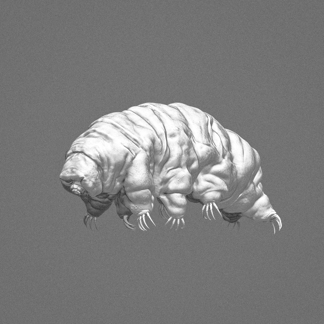 STL file Tardigrade・Model to download and 3D print・Cults
