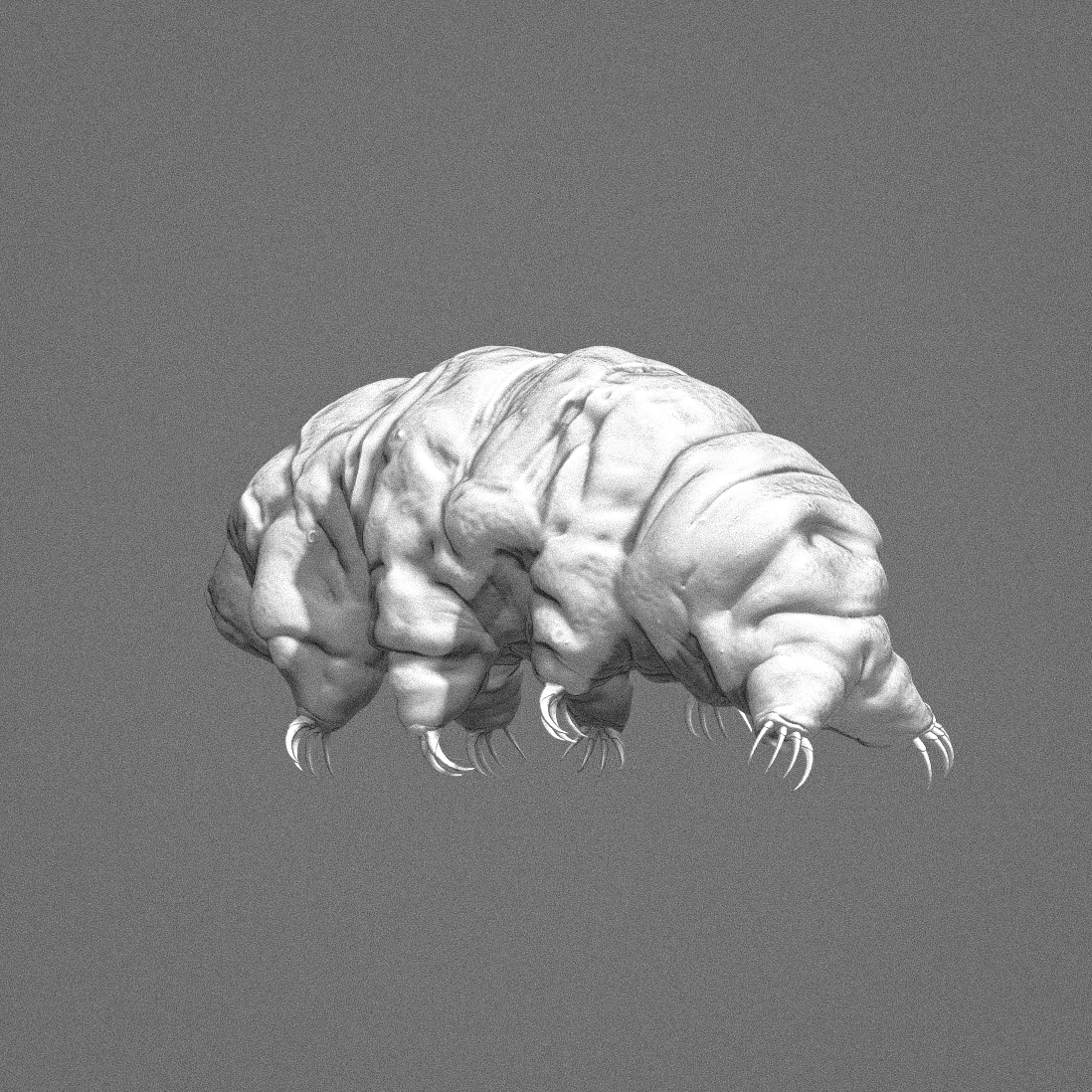STL file Tardigrade・Model to download and 3D print・Cults