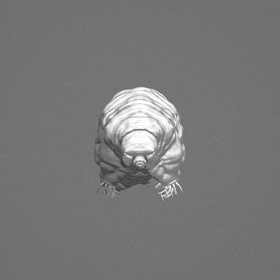 STL file Tardigrade・Model to download and 3D print・Cults