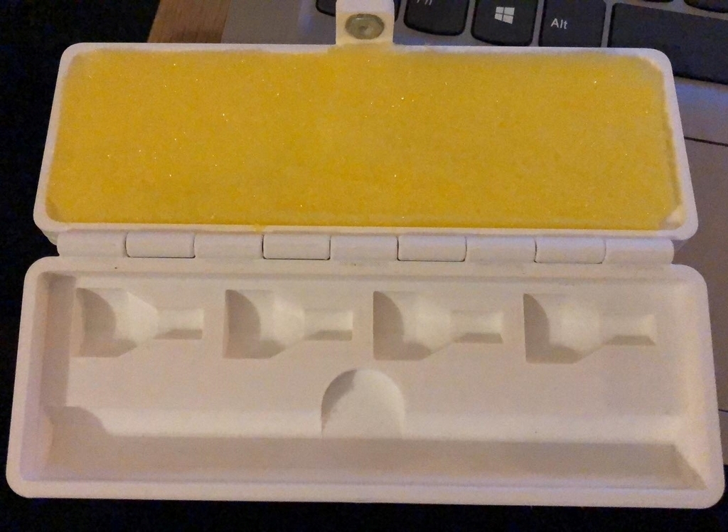 Free 3D file Case for injector pen・3D printer design to download・Cults