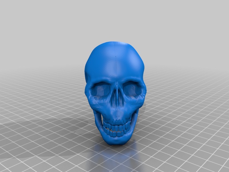 Free 3D file Another Skull・3D print design to download・Cults