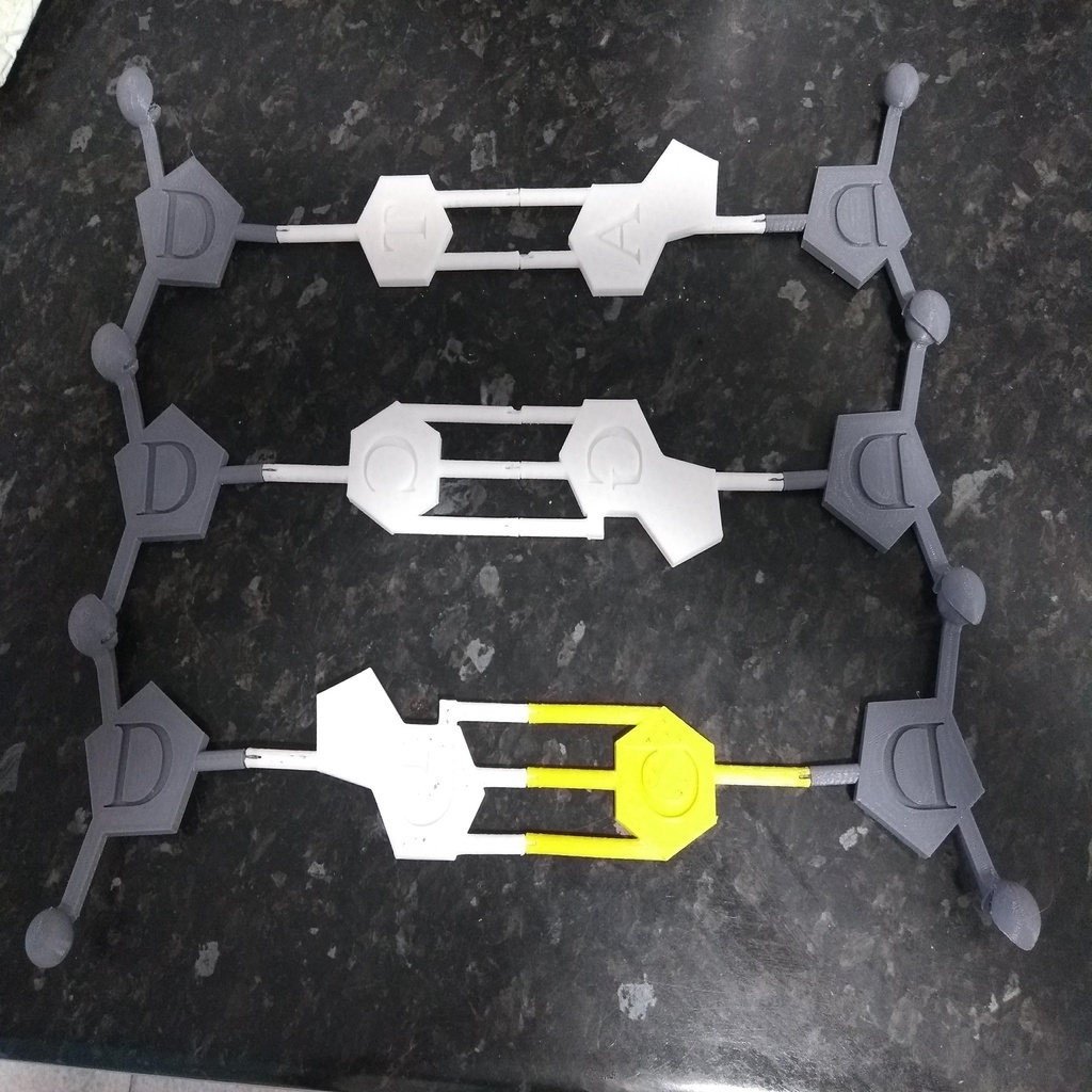 Free 3D file DNA Helix・3D printing idea to download・Cults