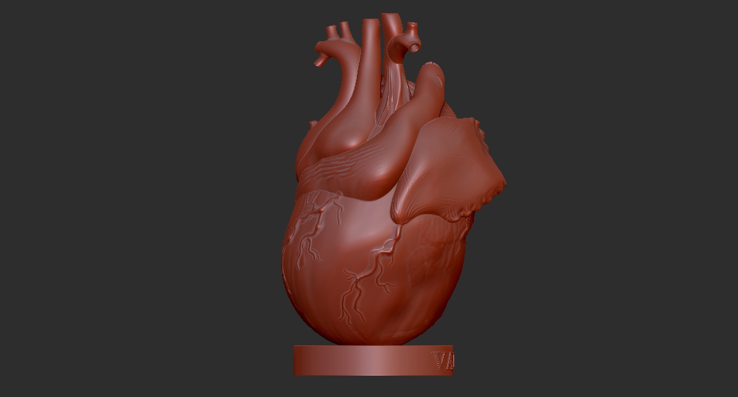 STL file HUMAN HEART 💜・Design to download and 3D print・Cults