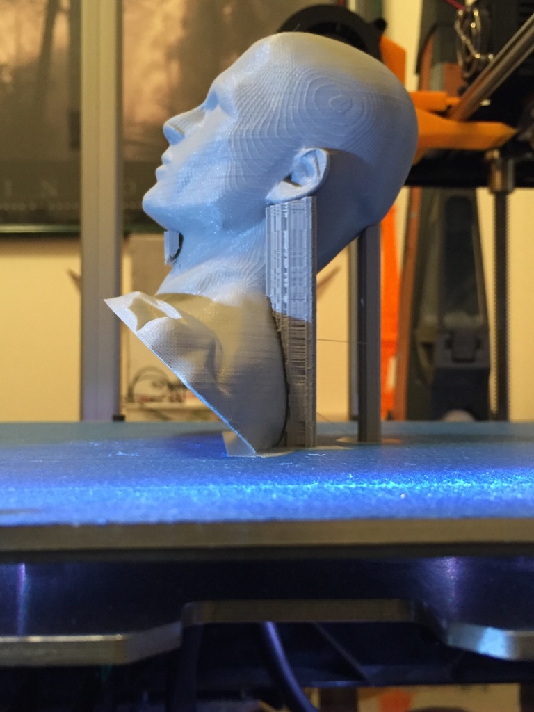 Free 3D file High Poly Low Detail Head・3D printer model to download・Cults