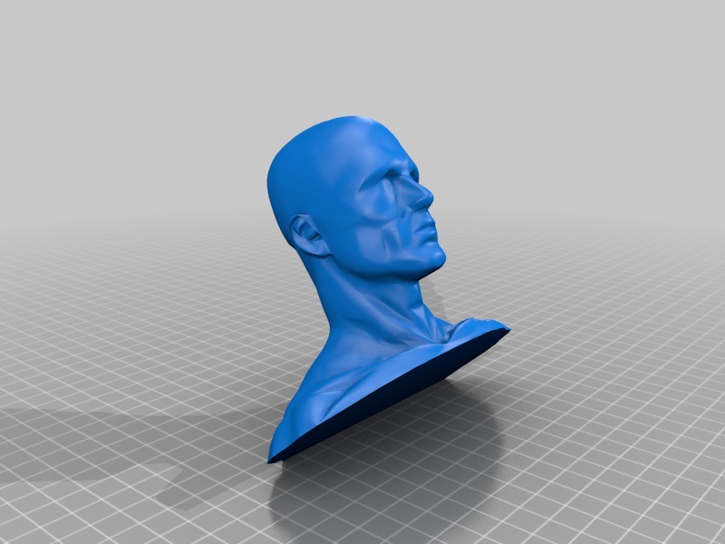Free 3D file High Poly Low Detail Head・3D printer model to download・Cults