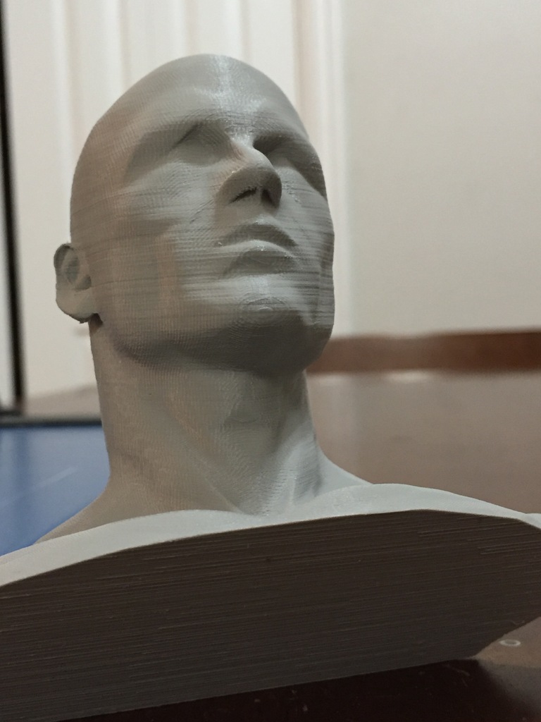 Free 3D file High Poly Low Detail Head・3D printer model to download・Cults