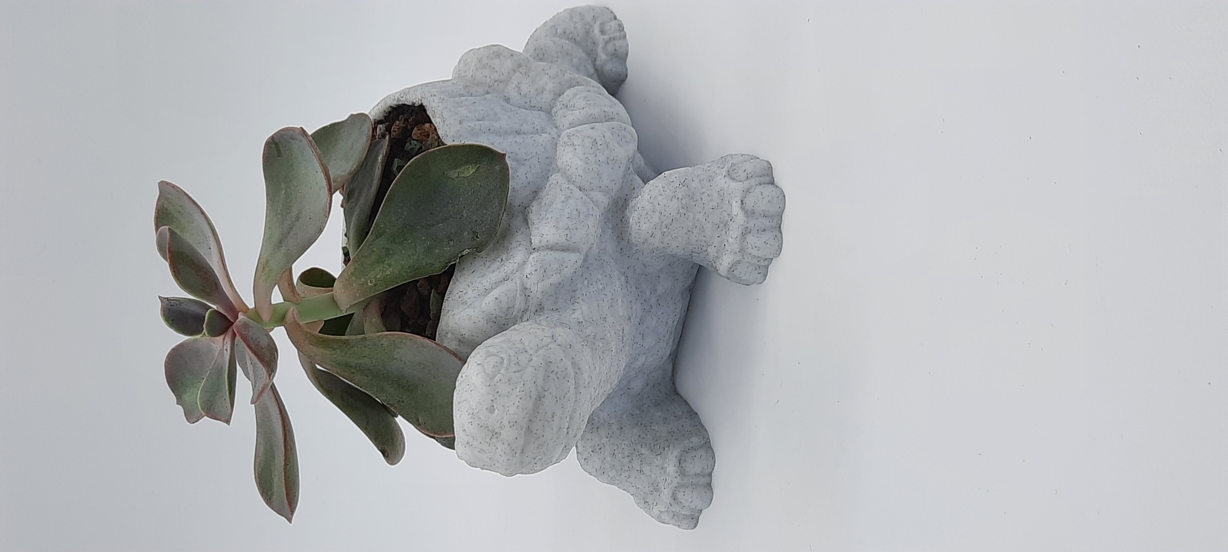 STL file SUCCULENT TURTLE PLANTER 🐢・Model to download and 3D print・Cults
