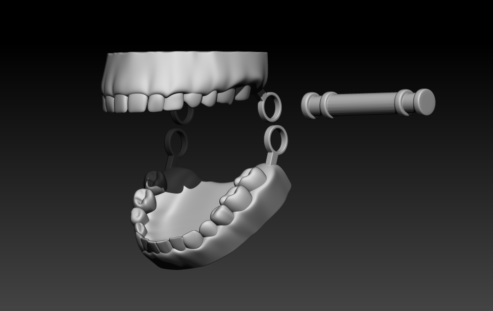 Free STL file Articulated Free Movement Teeth Keychain 🆓・3D printing ...