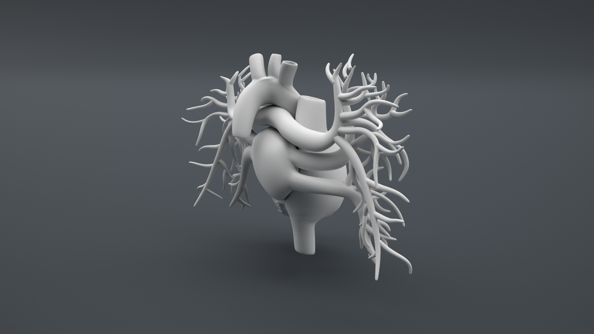 Free STL file Human Heart Structure (Educational Print)・3D printable ...