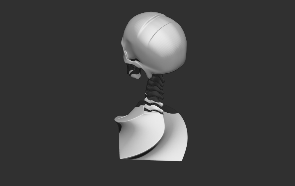 Free STL file ANTI SLIP Top Skull Headphone Holder 🔝・3D print design to ...