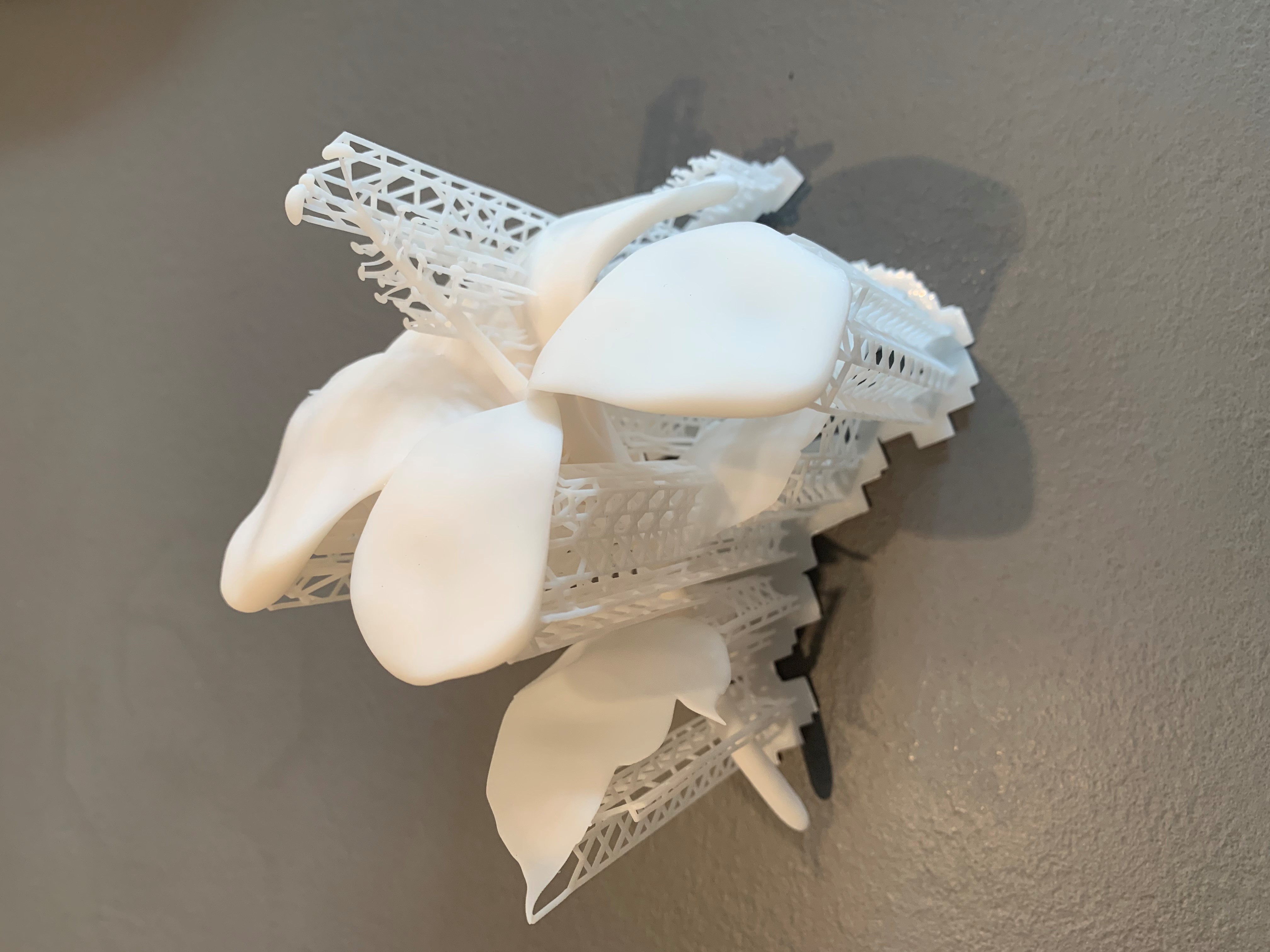 STL file Hibiscus Flower・Design to download and 3D print・Cults