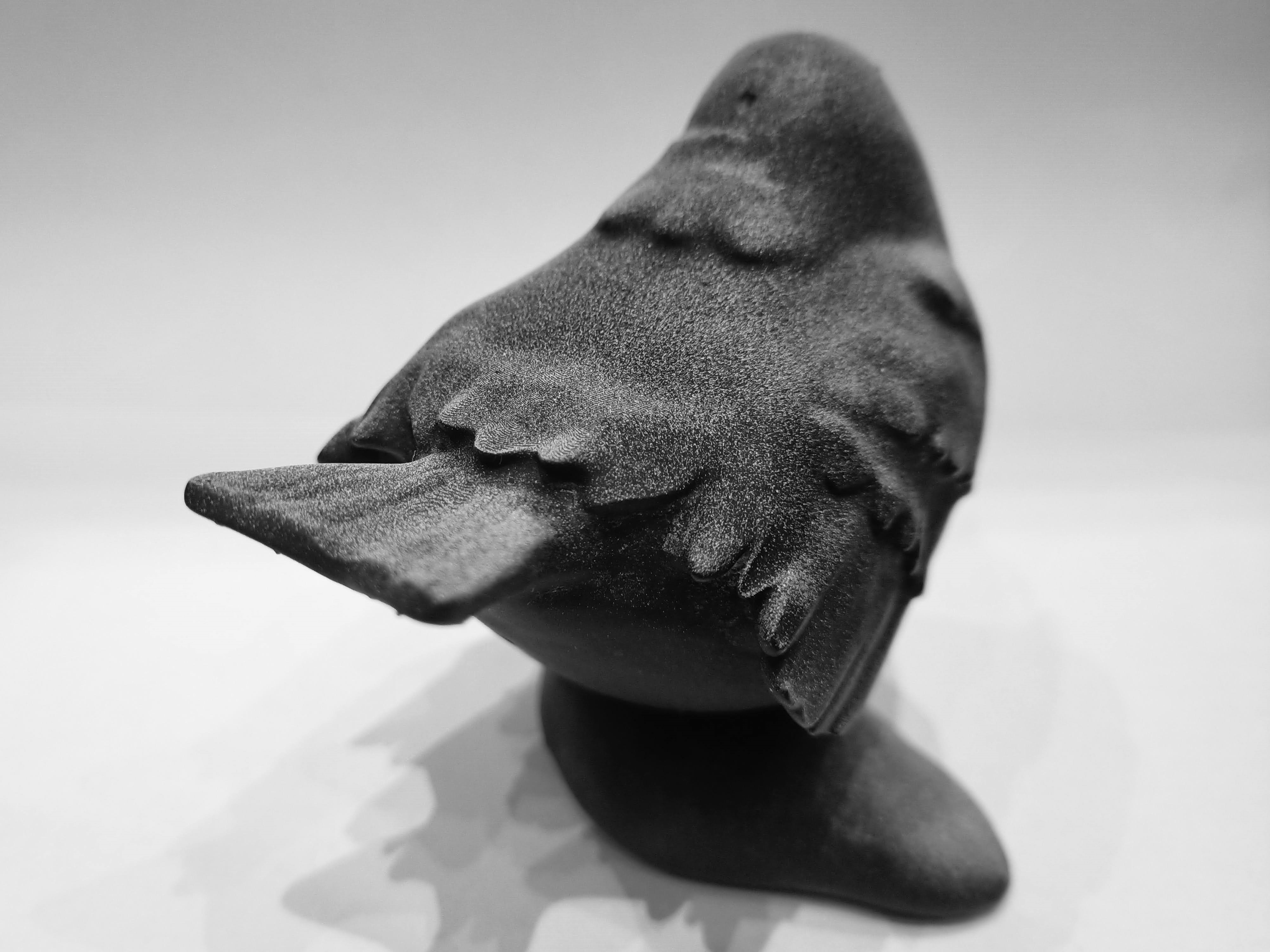 STL file Robin・Template to download and 3D print・Cults