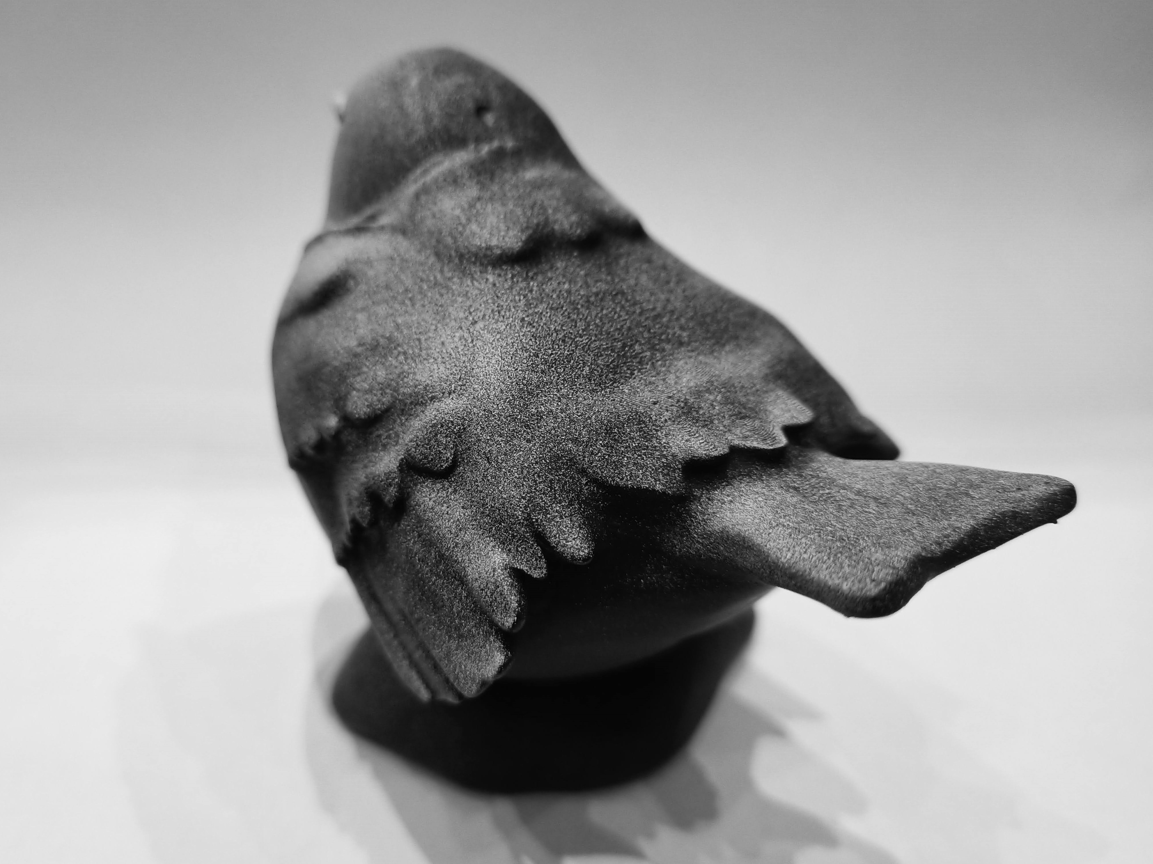 STL file Robin・Template to download and 3D print・Cults