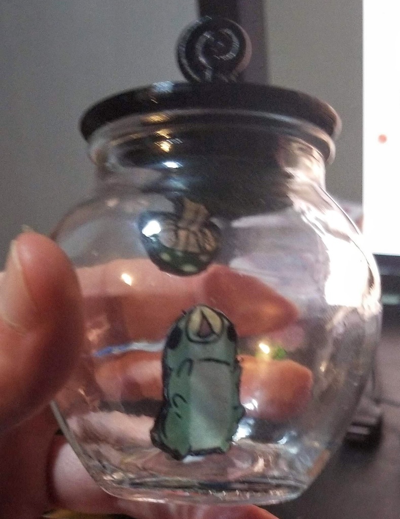 Free 3D file Hollow Knight Grubs in Jar Collection・3D printing model to ...