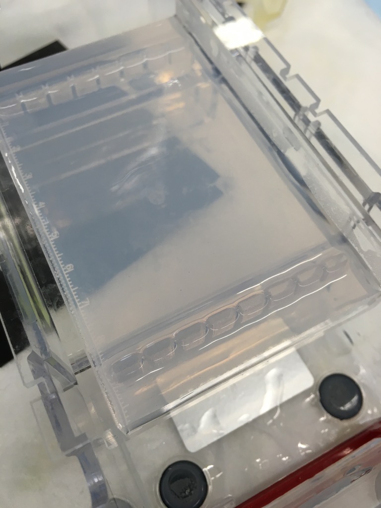 Free 3D file Electrophoresis Comb・Object to download and to 3D print・Cults