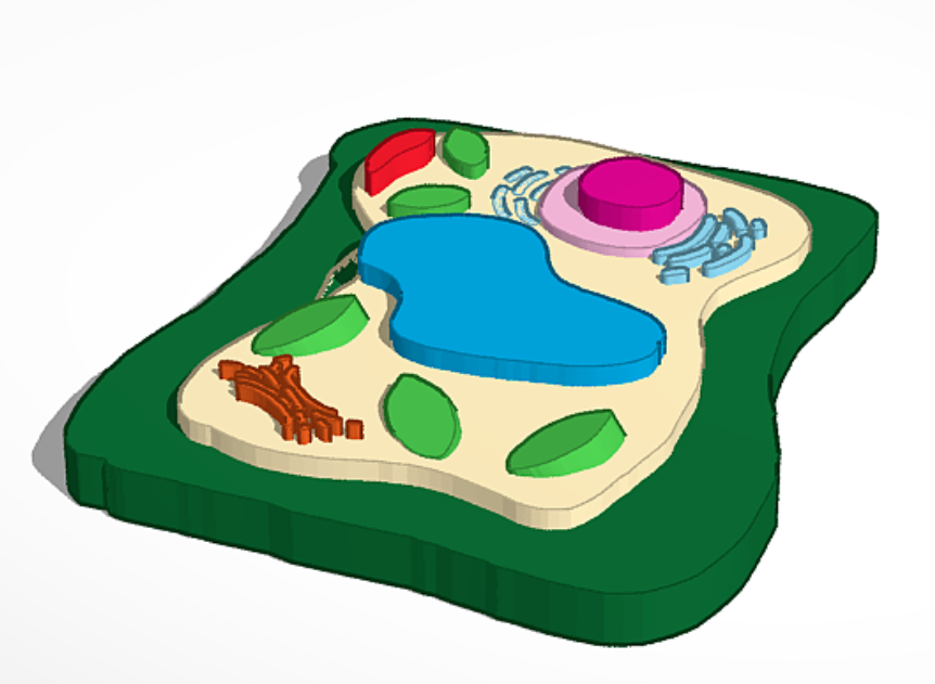 3D file plant cell・3D printer model to download・Cults