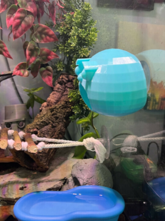 Free 3D file Tree Frog or small Reptile Hide・3D printer model to ...