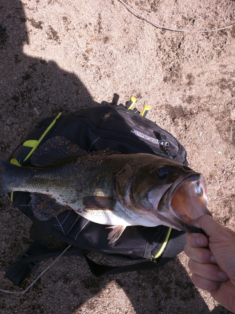 Archivo 3D gratis El Bass Klacker・Diseño por impresión en 3D para ...