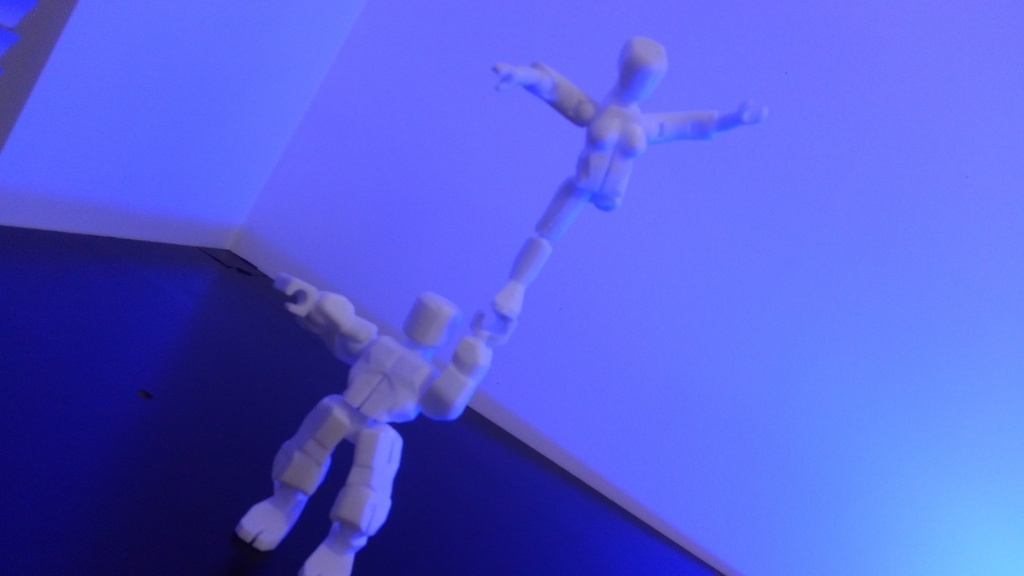 Free 3D file AVA - Awesome Action Figure Girl 👧・3D print design to ...