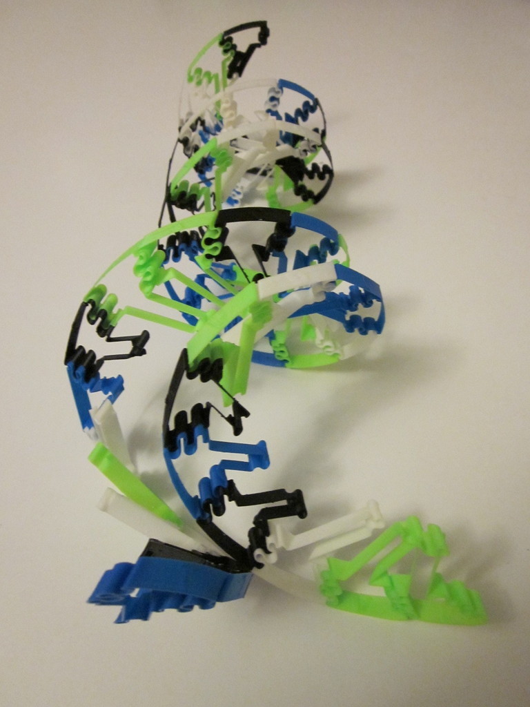 Free 3D file DNA Playset・Design to download and 3D print・Cults