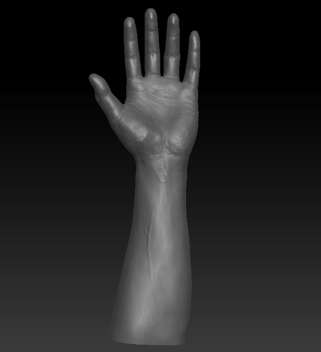 OBJ file human hand・3D print model to download・Cults