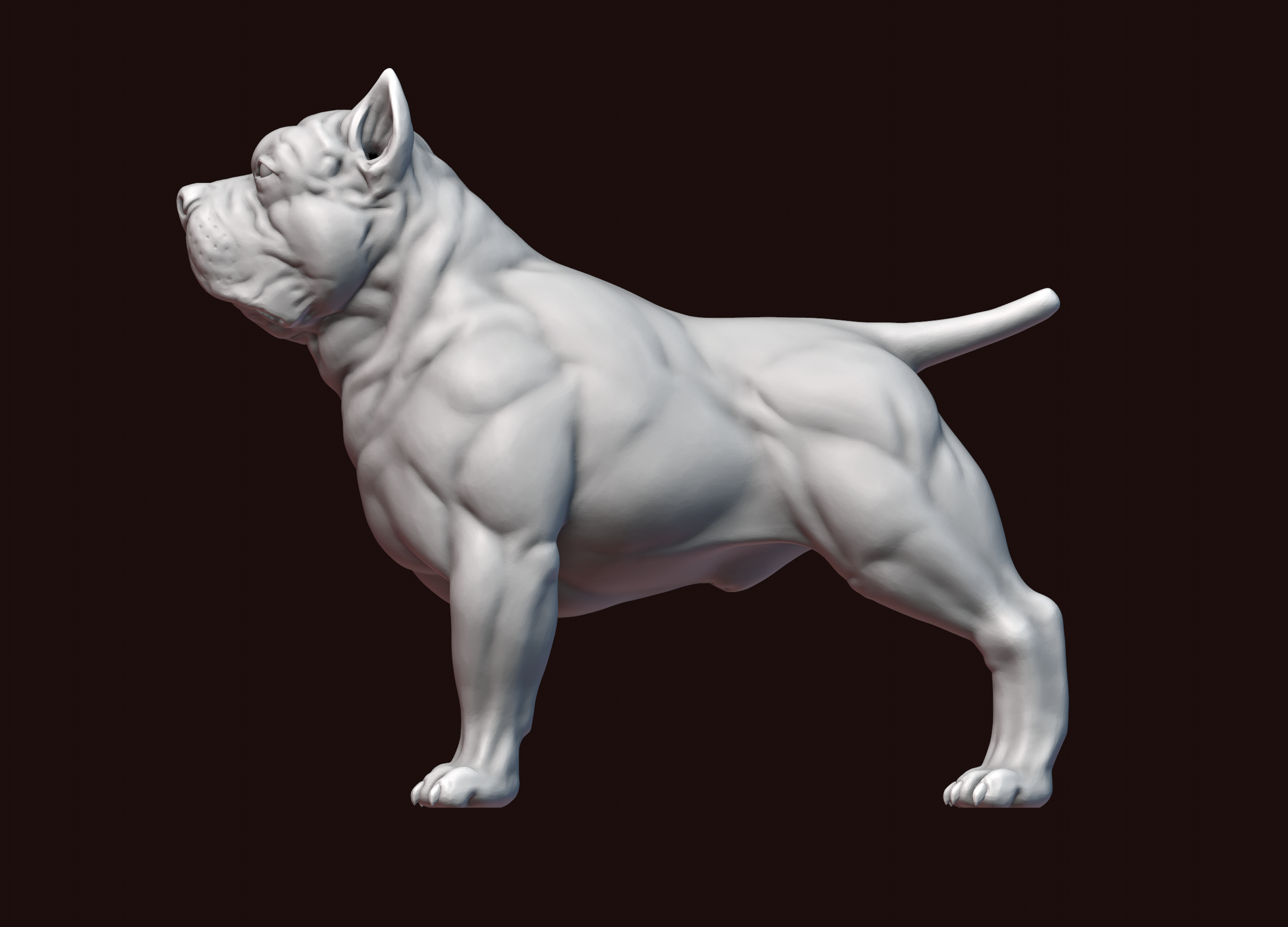 STL file American Bully 🐕・Model to download and 3D print・Cults