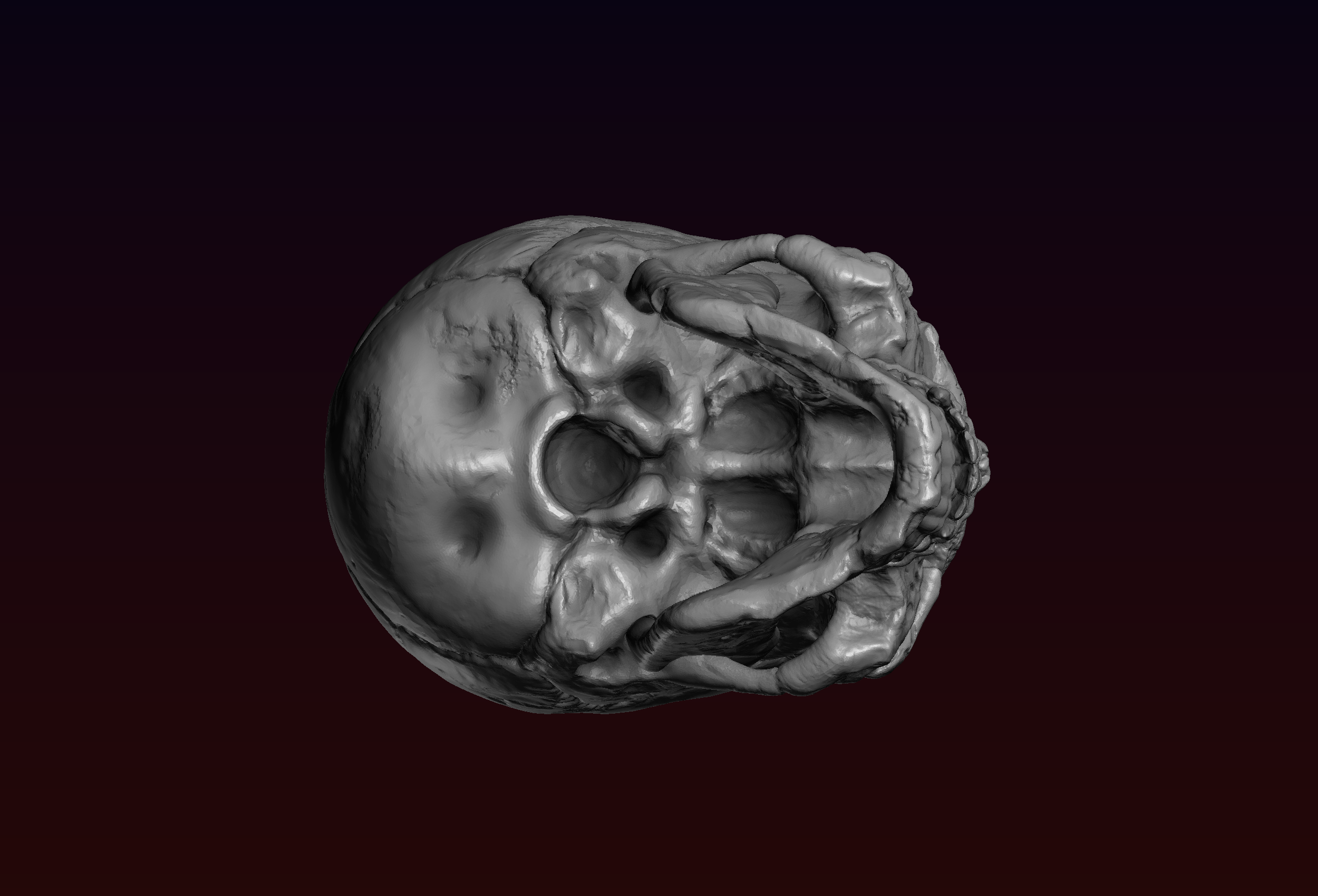 STL file Skull detailed 💀・3D printer model to download・Cults