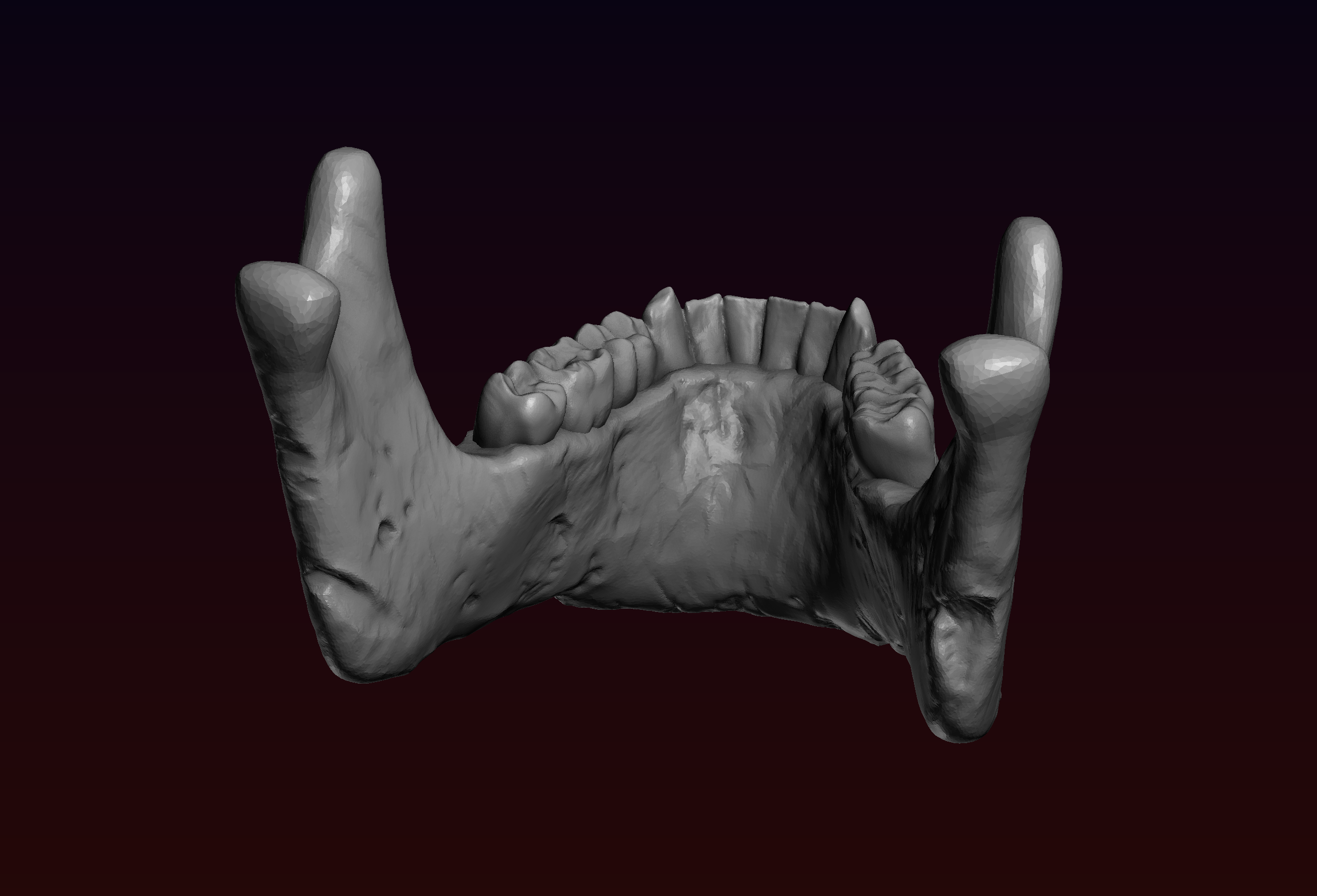 STL file Skull detailed 💀・3D printer model to download・Cults