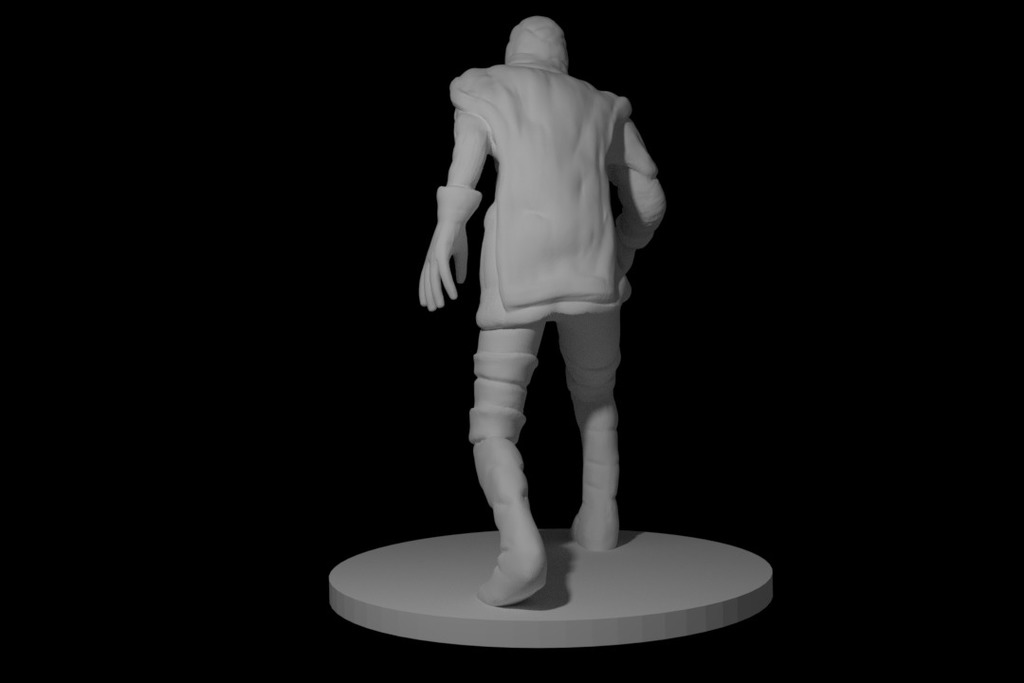 Free 3D file Rogue Mini・3D printer model to download・Cults