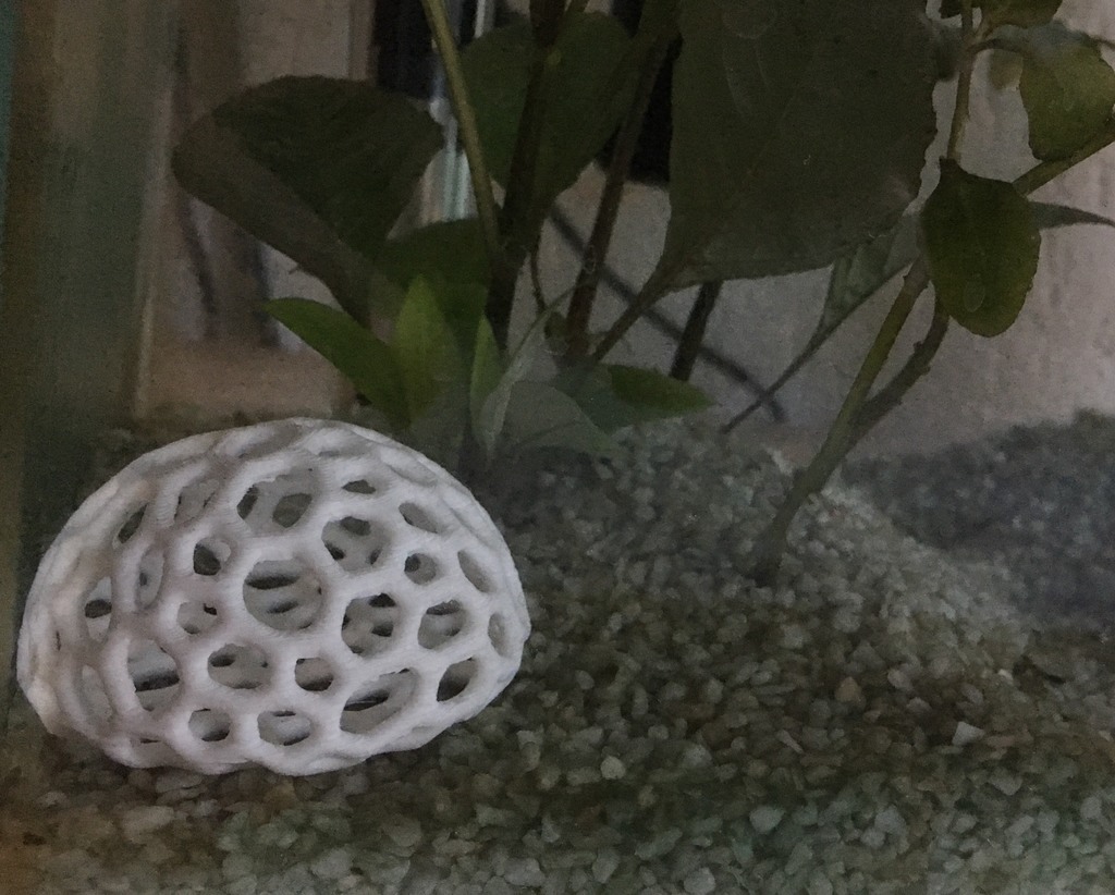 Free 3D file Fish hide - easy, fast and small・3D printing model to ...