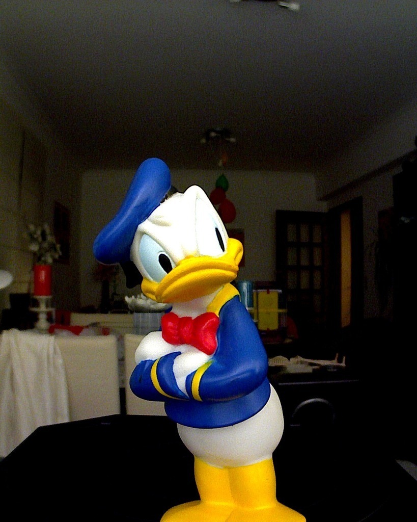 Free 3D file Donald・3D printable model to download・Cults