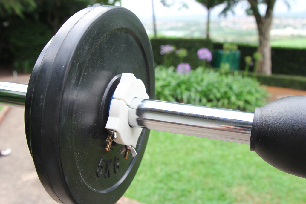 Free 3D file Celestron DX GEM Mount adapters・3D print object to download・Cults