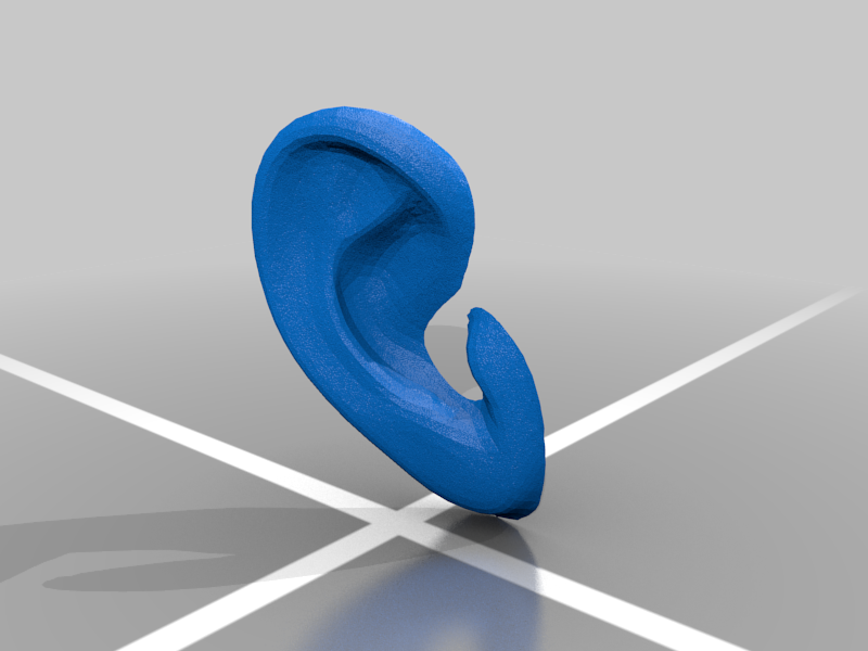 Fichier 3D gratuit Oreille humaine avec boîte à oreillettes et ...