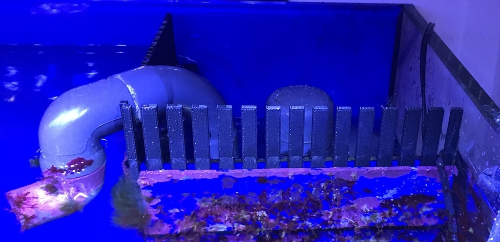 Free 3D file Reef tank Overflow Comb 🪖・3D printing idea to download・Cults