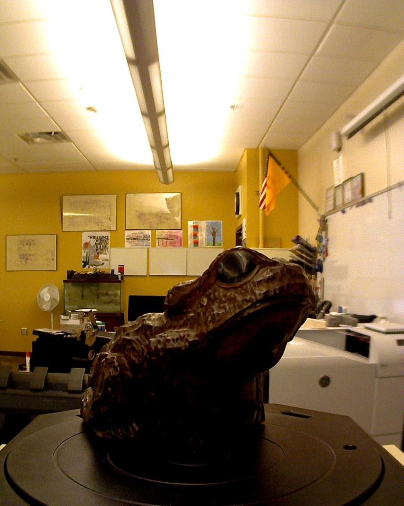 Free 3D file Cane Toad Sculpture・3D printing design to download・Cults