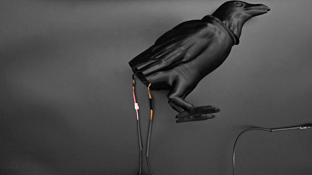Free 3D file Halloween Crow Hollowed for Servo and LEDs・3D printing ...