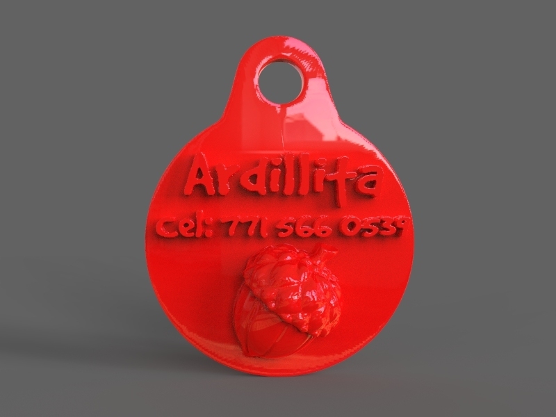 3D file Pet Tag and Pet Jewelry Combo 🐕・3D printable design to download ...