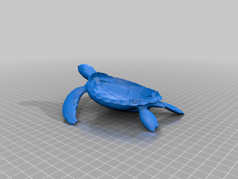 Free 3D file turtle case 🐢・3D print design to download・Cults