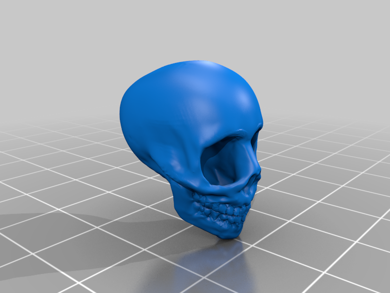 Free 3D file skull valve cap Schrader valve・3D print object to download ...