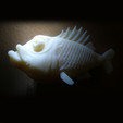 Download free 3D printer model Fish ・ Cults