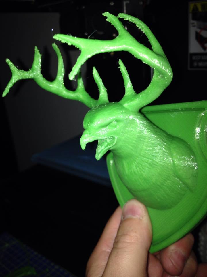 Free 3D file Crazy Bird Trophy・3D print design to download・Cults