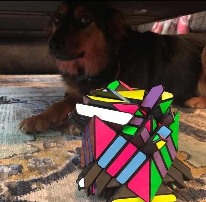 Free 3D file 5x5 hex prism twisty puzzle (wushuang 5x5) 🧩・Design to download and 3D print・Cults