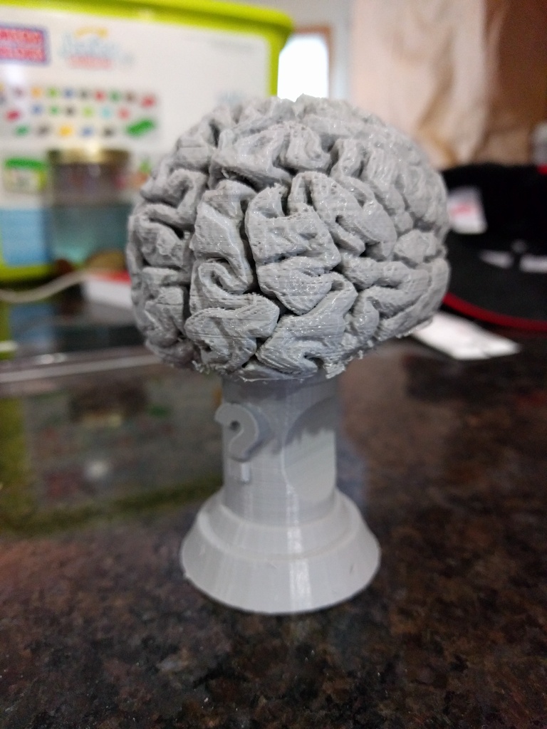 Free 3D file Trivia Night Trophy 🏆・3D printable design to download・Cults