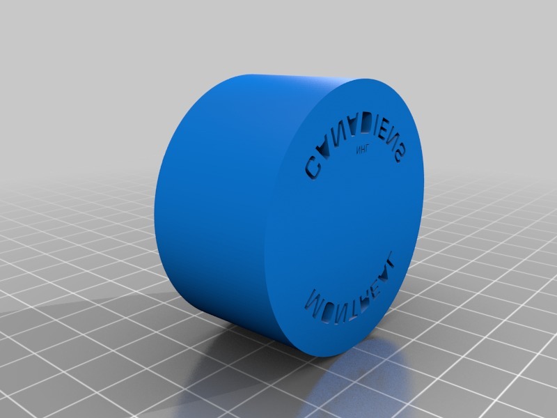 Free 3D file ice hockey puck with logo・3D printer design to download・Cults