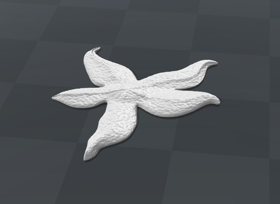 Free 3D file starfish・3D printer design to download・Cults