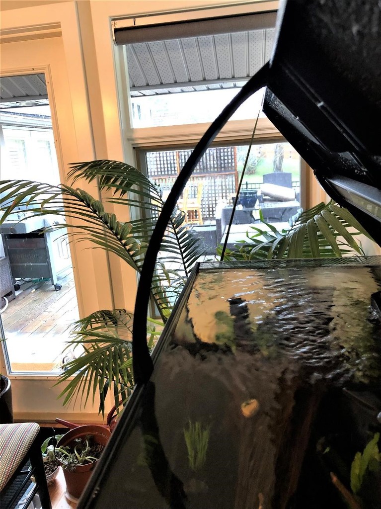 Free 3D file Fluval Flex aquarium lid prop 🐾・3D print design to ...