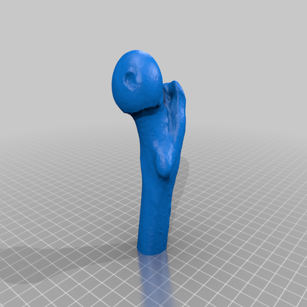 Free 3D file Human femur・3D print model to download・Cults